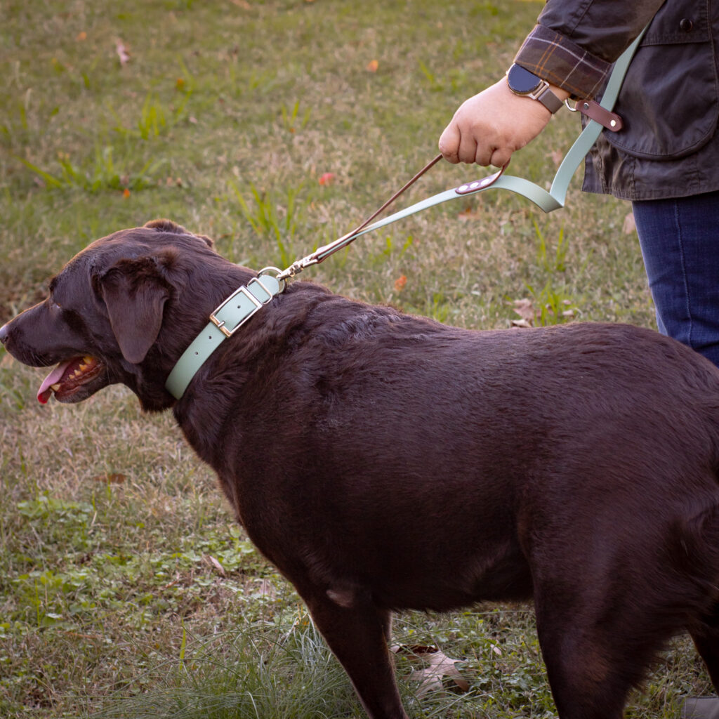 Elite Essentials Convertible Leash – Levitt Leads